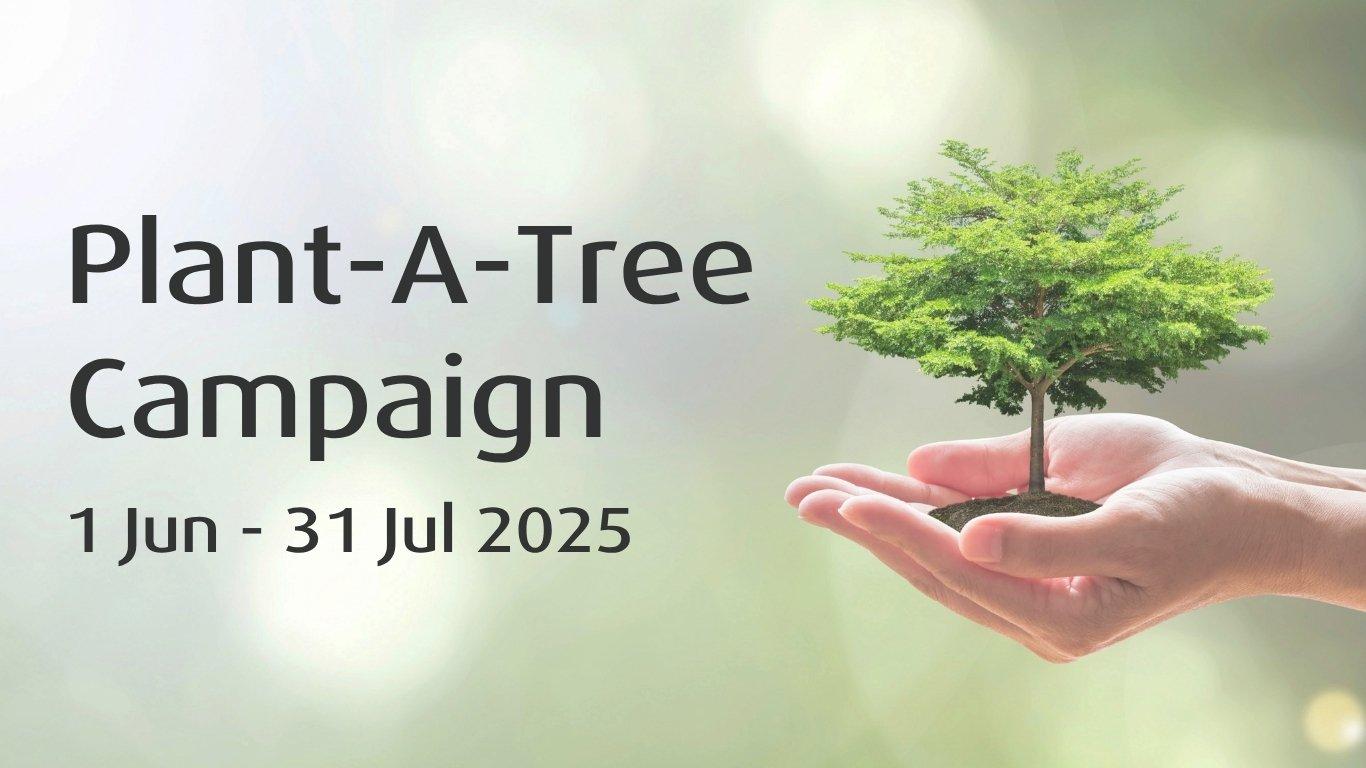 TEMPUR Plant-A-Tree Campaign